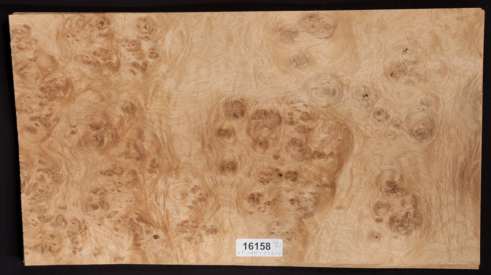 Oak Burl Veneer Stock List