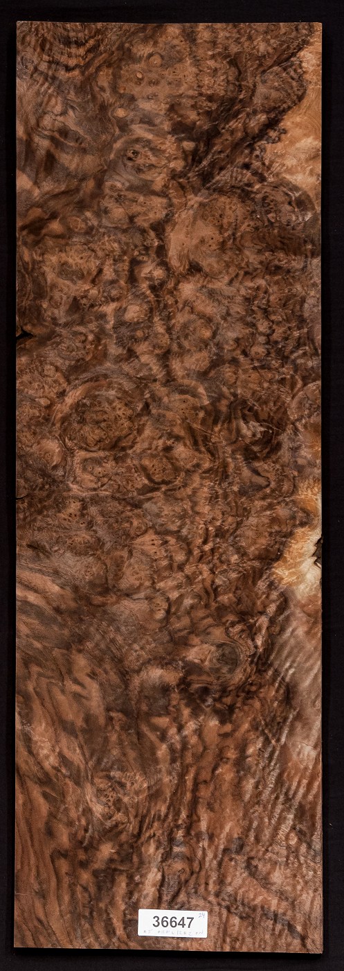 AAA Walnut Burl Veneer Lot 10.75" x 35" 2 Sheets Per Lot ...