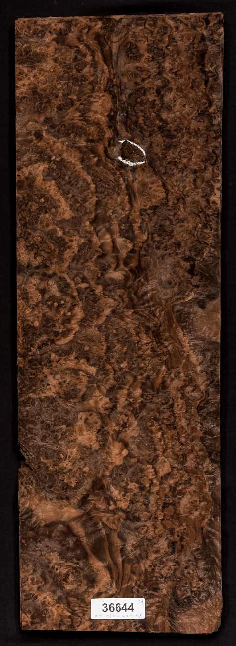 AAA Walnut Burl Veneer Lot 9" x 29.5" 4 Sheets Per Lot - VeneerSupplies.com
